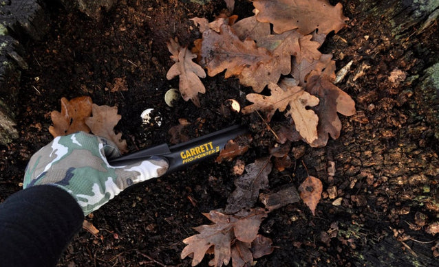 Garrett Pro Pointer II